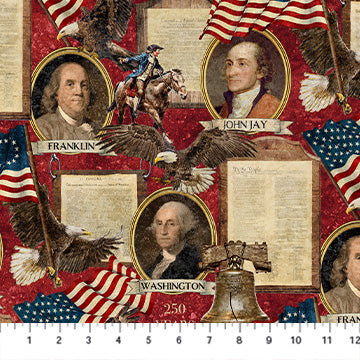 DP28368-24 America 250 – Quilt Lizzy